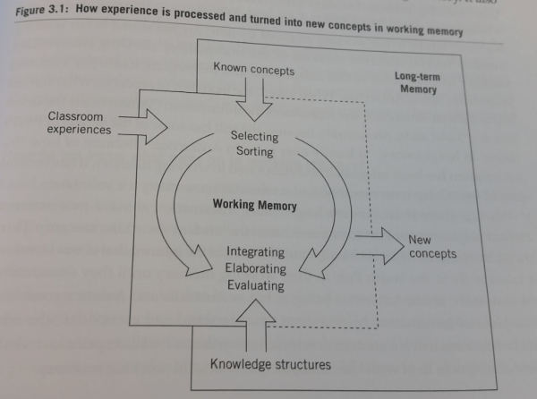 Making Connections to Prior Learning and Experience | Steve Mouldey